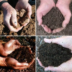Sweet and Sour Soils | Edible Geography