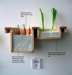 Verticality of Vegetables | Edible Geography