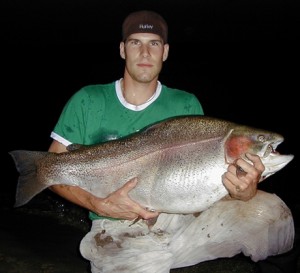 The Amazing Allegorical Synthetic Fish