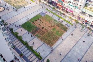 Landgrab! | Edible Geography