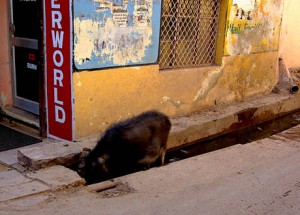The Return Of The Agricultural Unconscious | Edible Geography