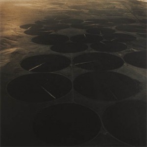 Squaring the Circle | Edible Geography