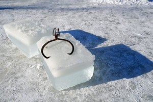 Harvesting Winter